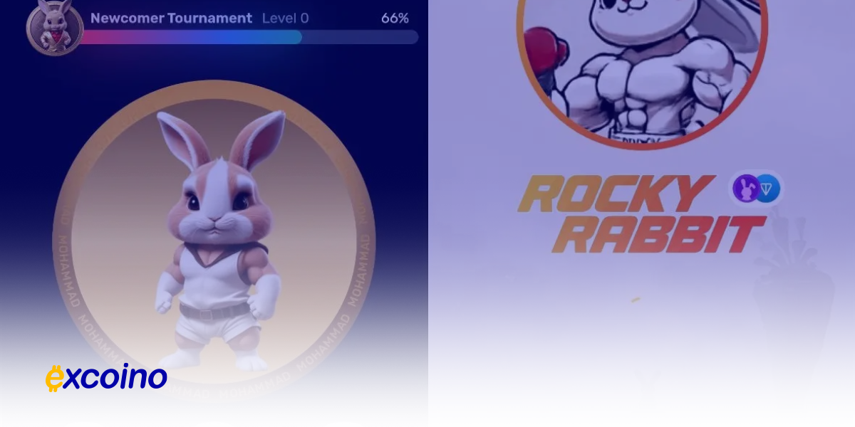 معرفی راکی ربیت + همه چیز در مورد بازی (Rocky Rabbit) | اکسکوینو