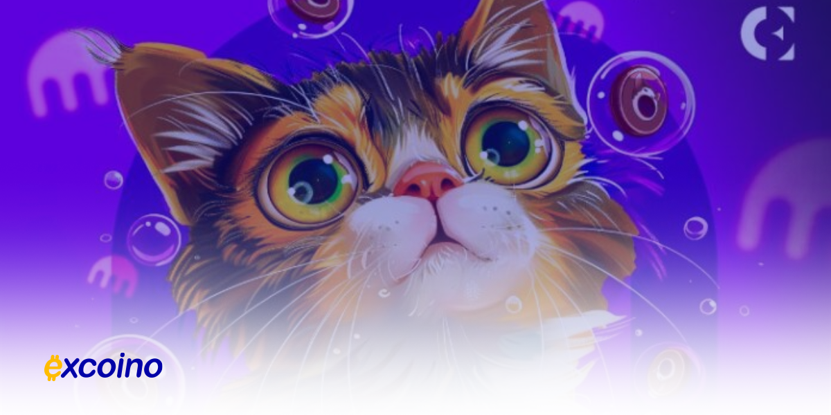 ? رونمایی از آپدیت جدید CATI: ترکیب بازی و اقتصاد در دنیای Catizens